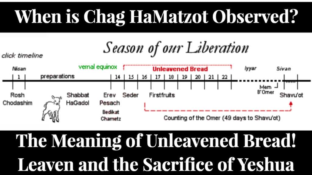 Passover Week Torah Readings - Lion Of Judah Society