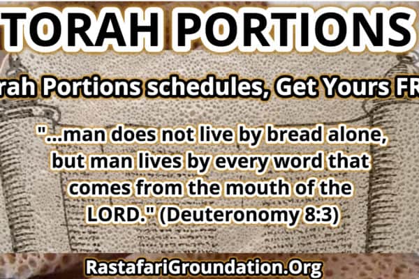 Torah Readings - Lion Of Judah Society