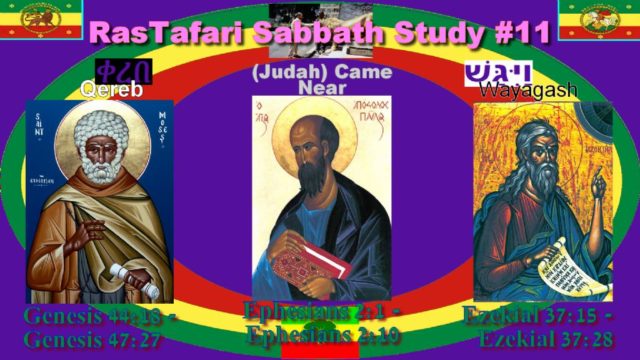 This Week's Reading #11 - LOJSociety | Lion Of Judah Society ...