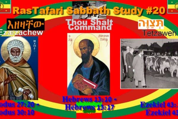 This Week's Reading: Ends 2/16/19 - LOJSociety | Lion Of Judah Society ...