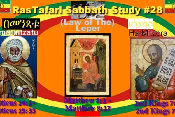 This Week's Reading: Ends 8/14/21 - LOJSociety | Lion Of Judah Society ...